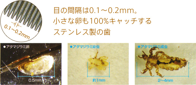 株式会社エムエムアンドニーク